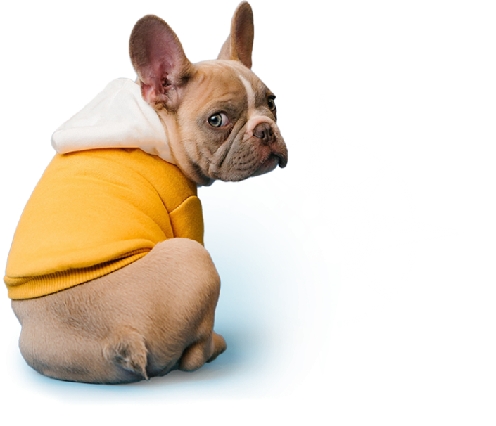 About Us - NorthPoint Pets & Company