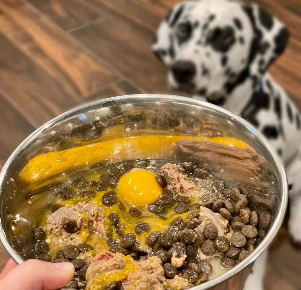 Food & Toppers - NorthPoint Pets & Company