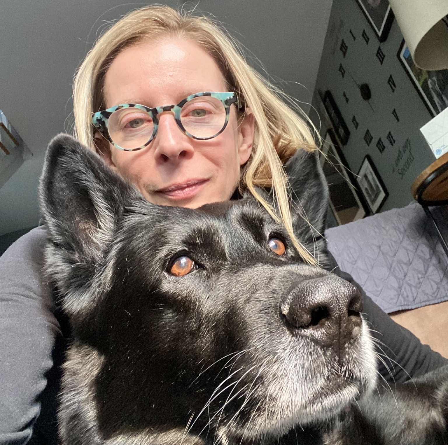 Supporting Our Pets Through the Aging Process - NorthPoint Pets & Company